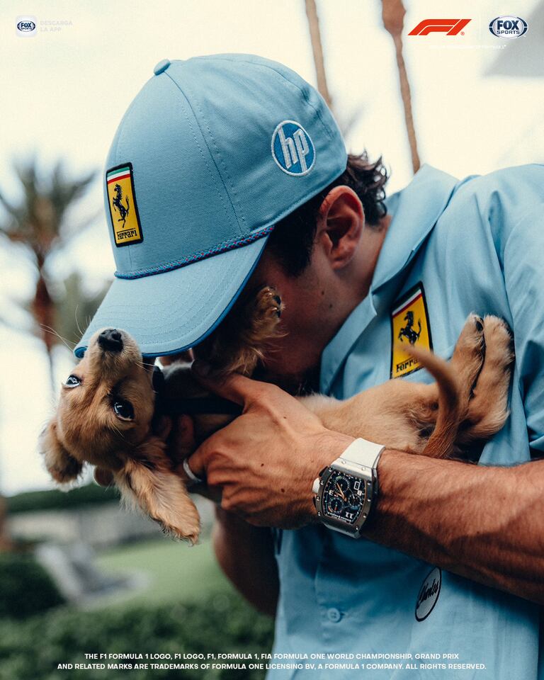 ‘Rápido, genial y MUY VALIENTE’: ¡Charles presume a su perrito Leo Leclerc Saint Mleux! (GALERÍA ...